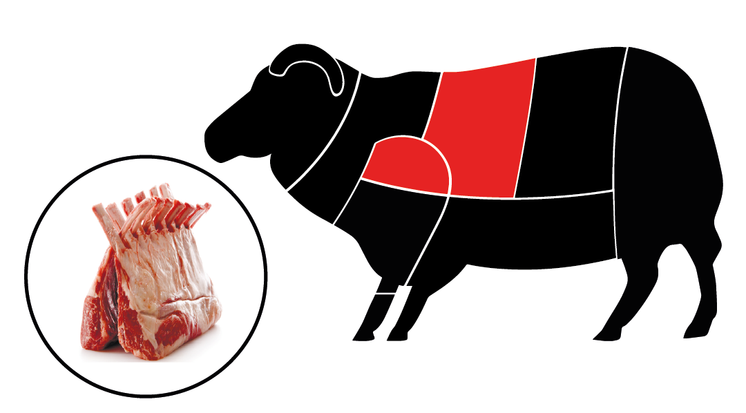 Қўй елка-қовурға "Halal+"